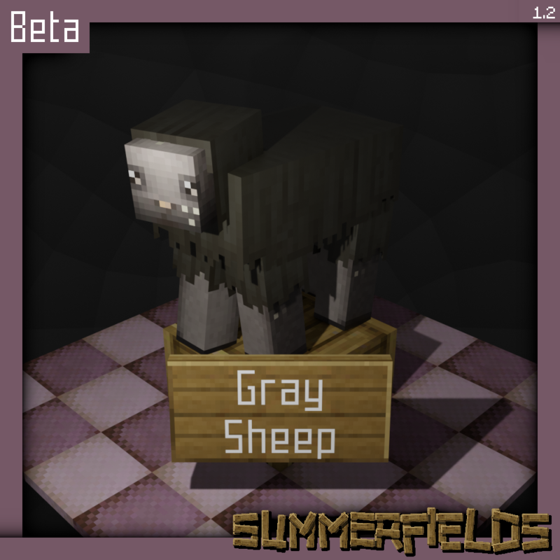 Gray Sheep – SummerFields